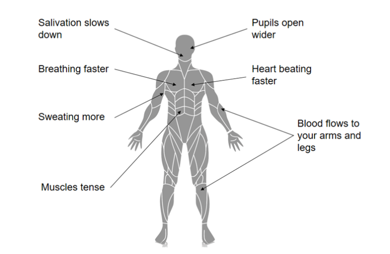 Panic self-help guide | NHS inform