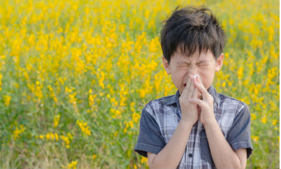 Self-help guide: Hay fever