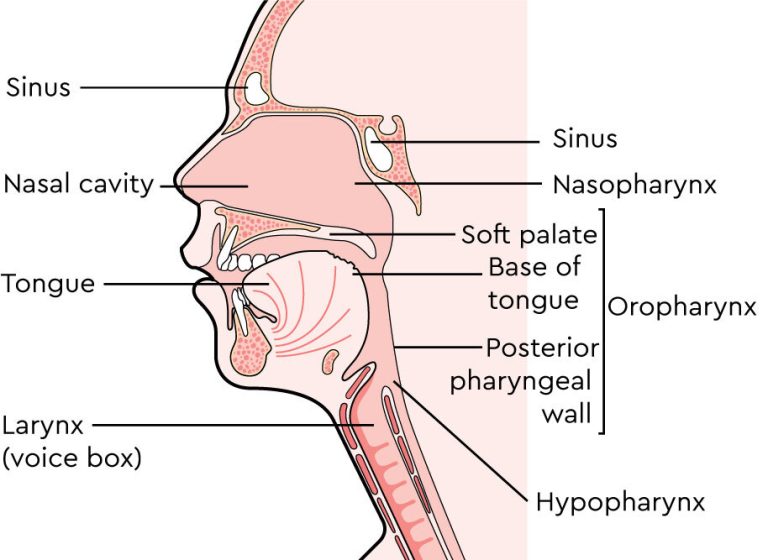 Nasal and sinus cancer | NHS inform